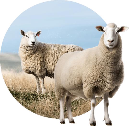 Ways to Give - Global Mission Awareness